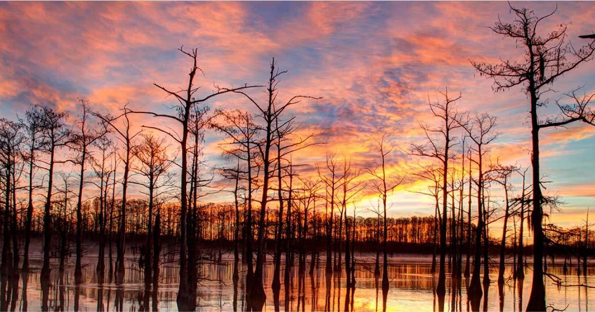 Weather in Monroe & West Monroe | Discover Monroe West Monroe